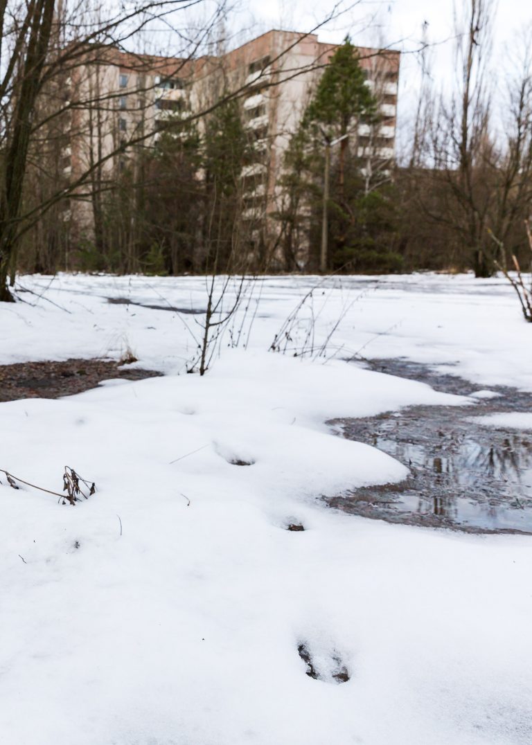 What does Chernobyl look like today? (and how we visited!)