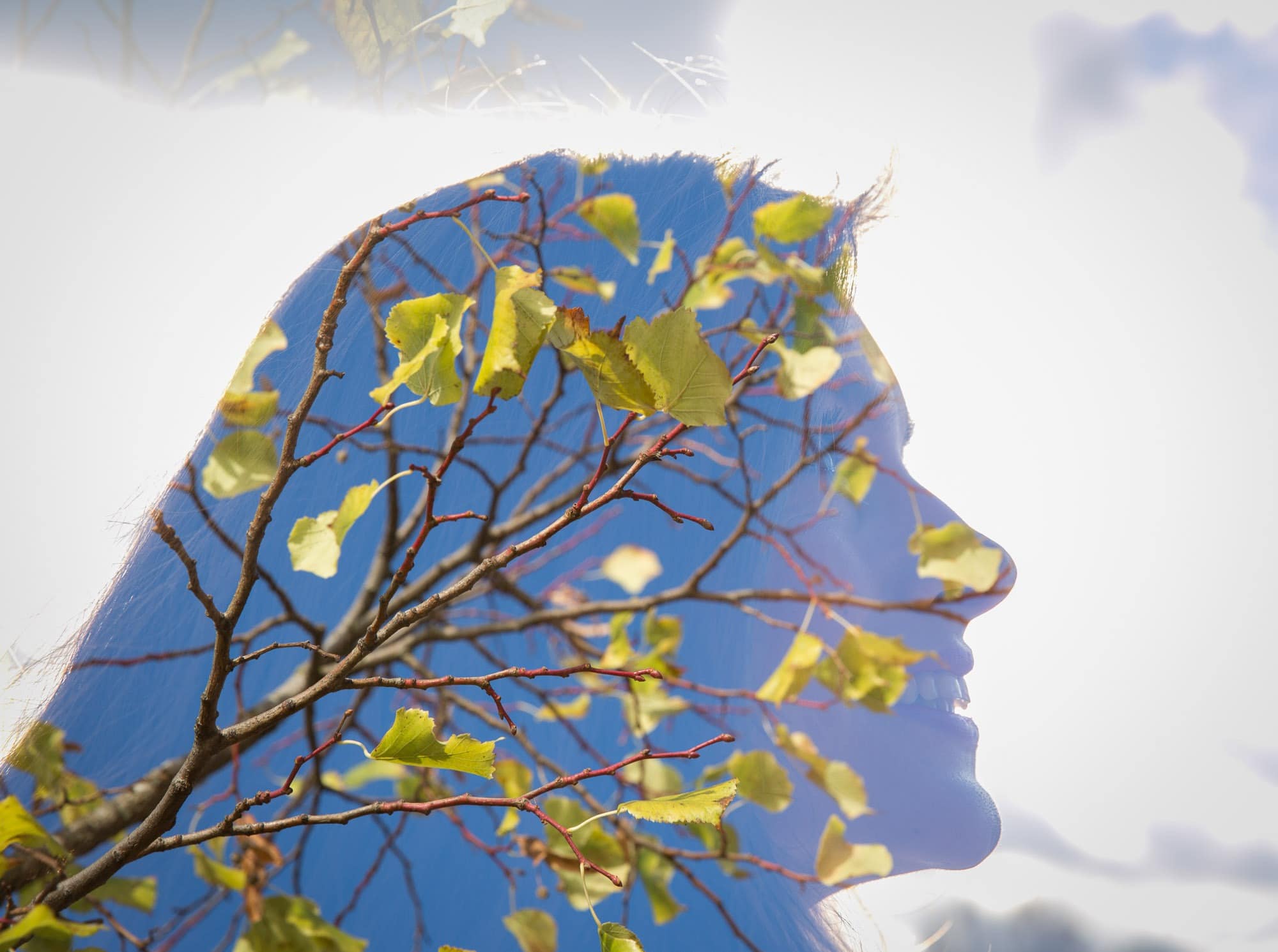 The Ultimate In Camera Double Exposure Guide in 2023