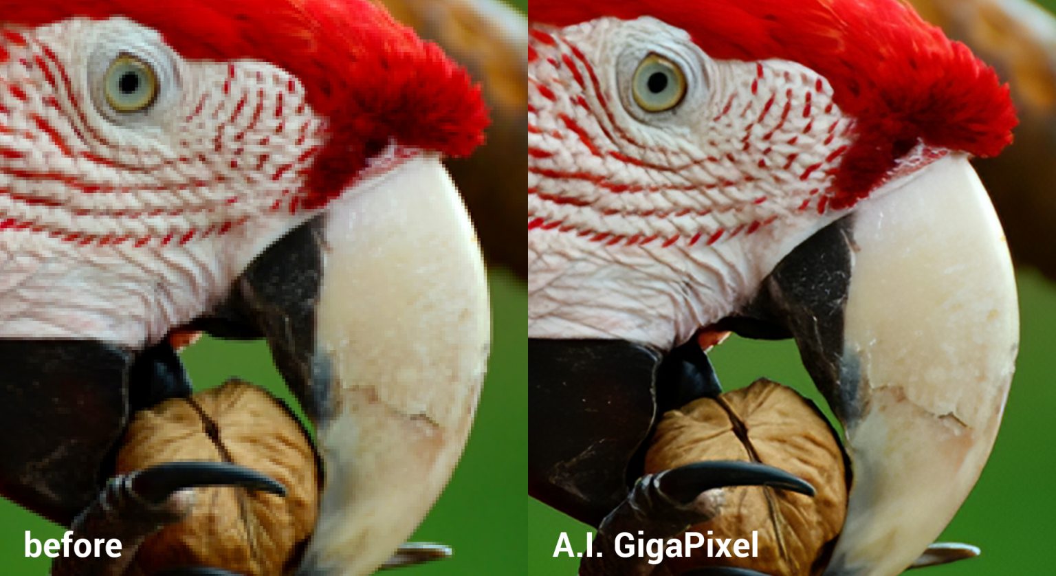 Topaz AI Gigapixel Review in 2023 - Image Enlarging Software