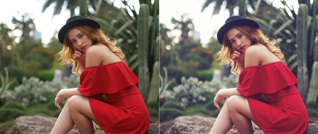 The 10 Best Free Luminar NEO Presets in 2023