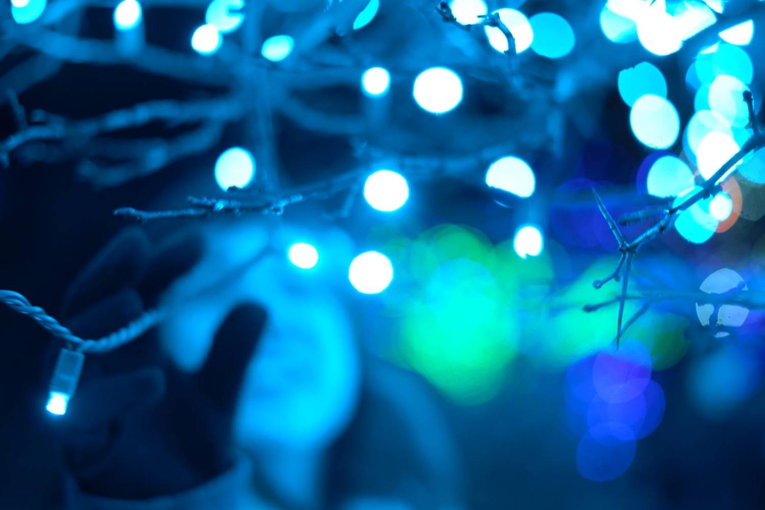 7 Ways to Create Beautiful Bokeh Effect in Photography
