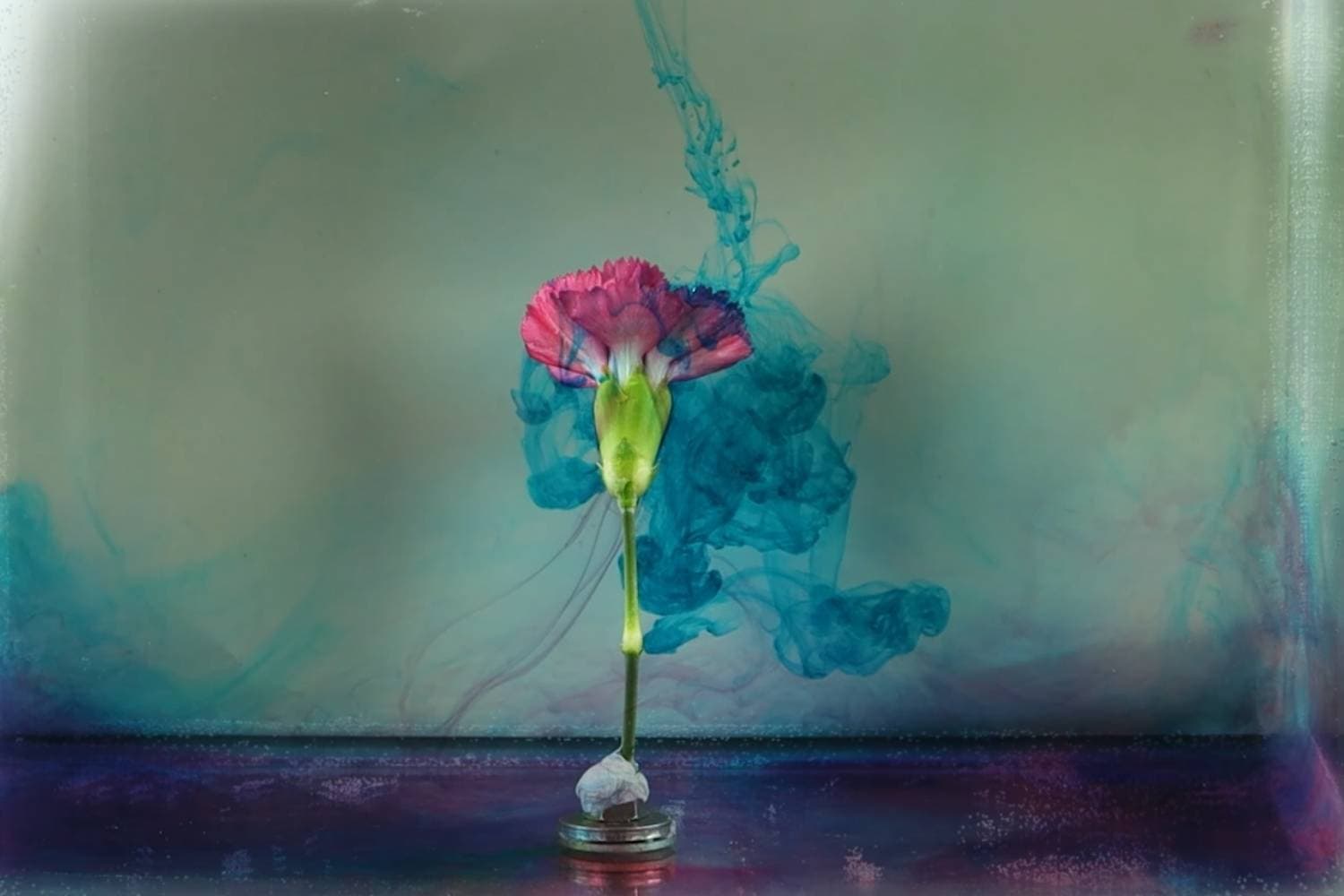 Top Photography Niches for New Photographers in 2025