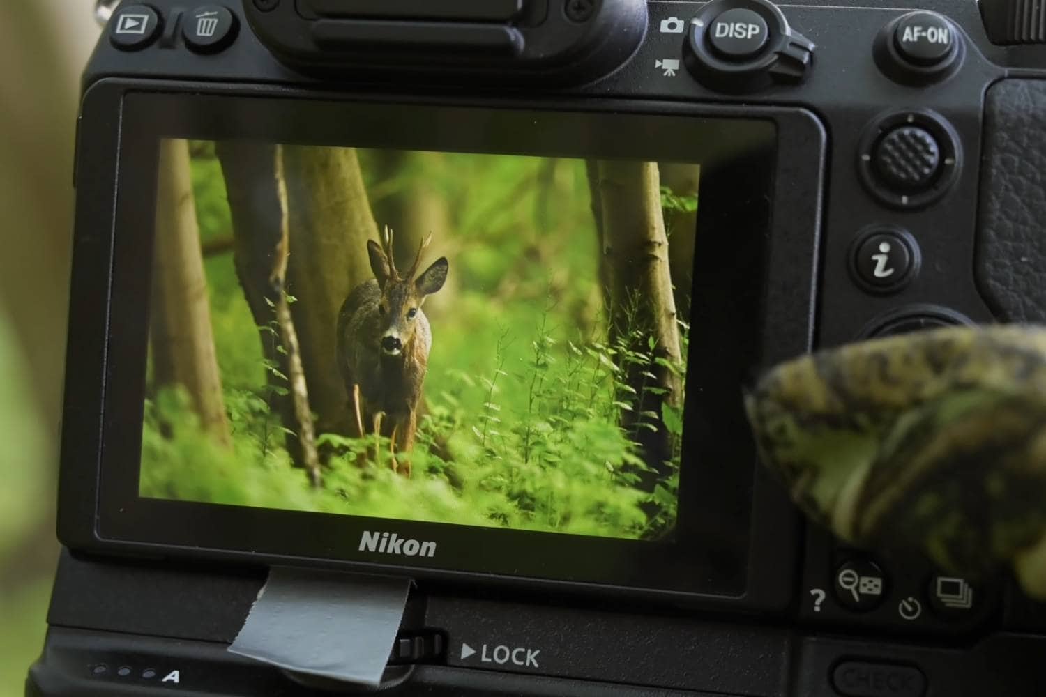 Top Photography Niches for New Photographers in 2025