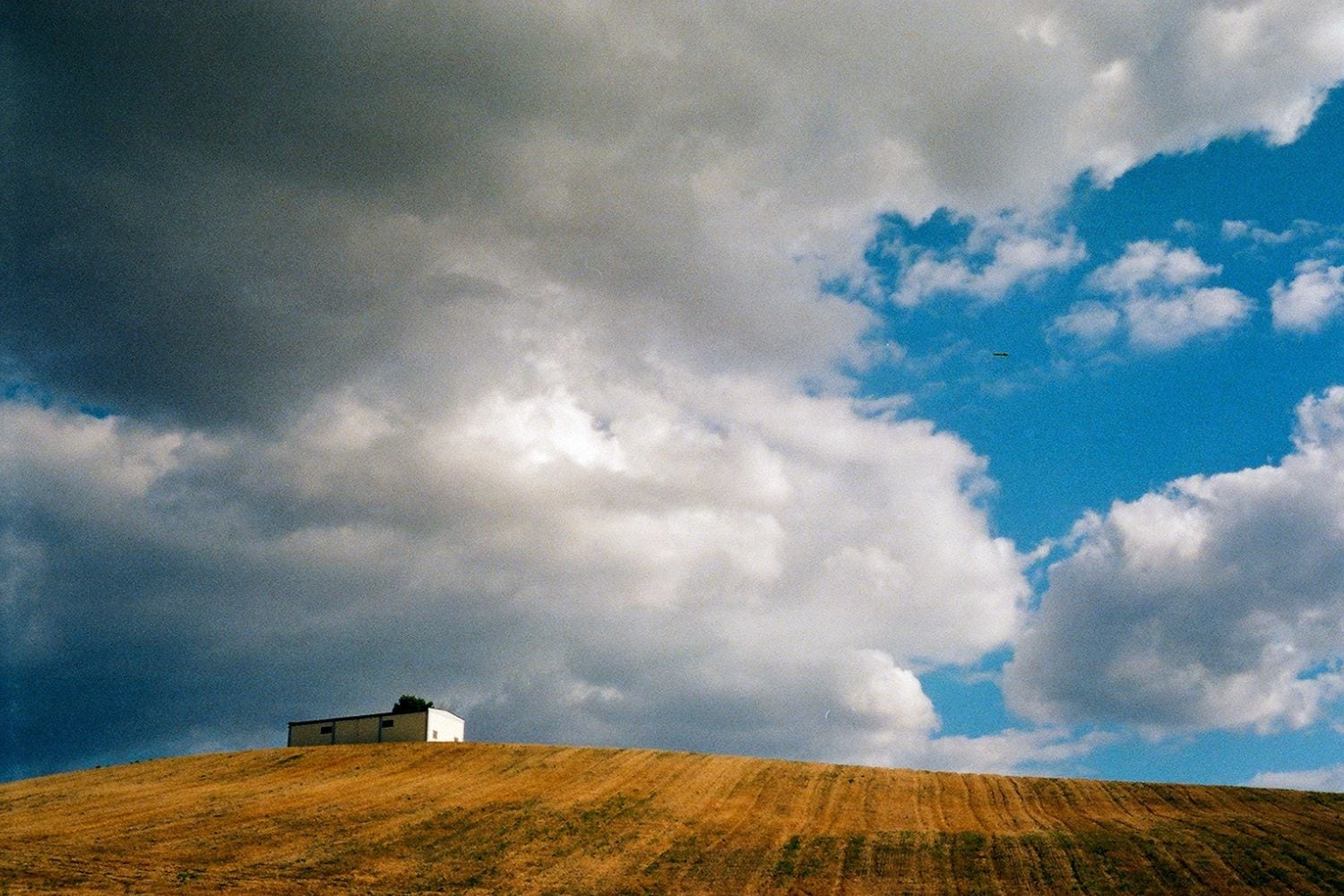 Kodak Portra 800 Review: Low-Light Versatility and More