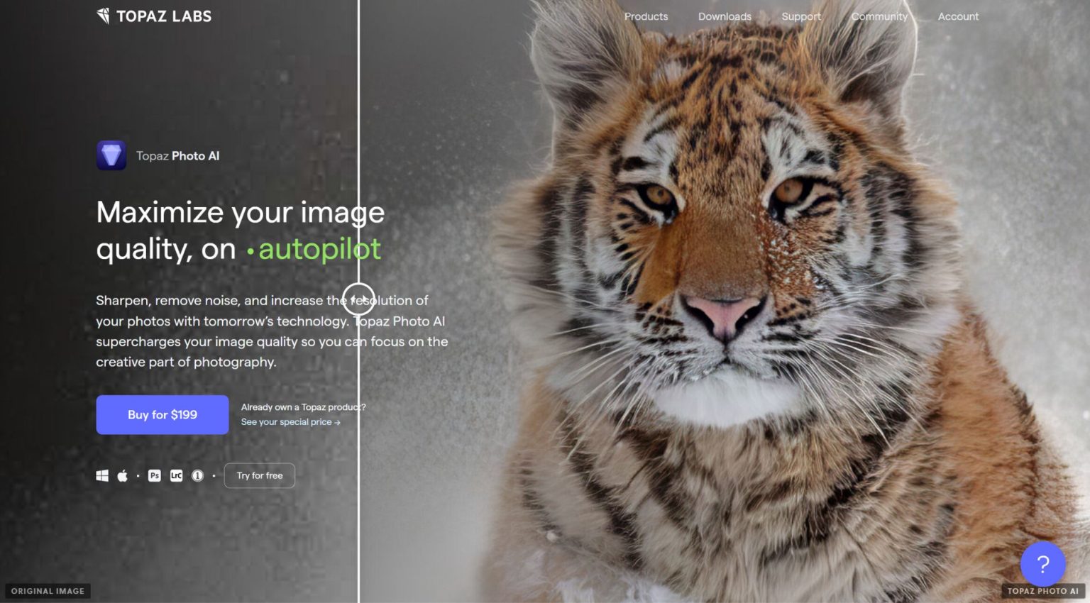 Unlocking Creativity: Topaz Photo AI Review