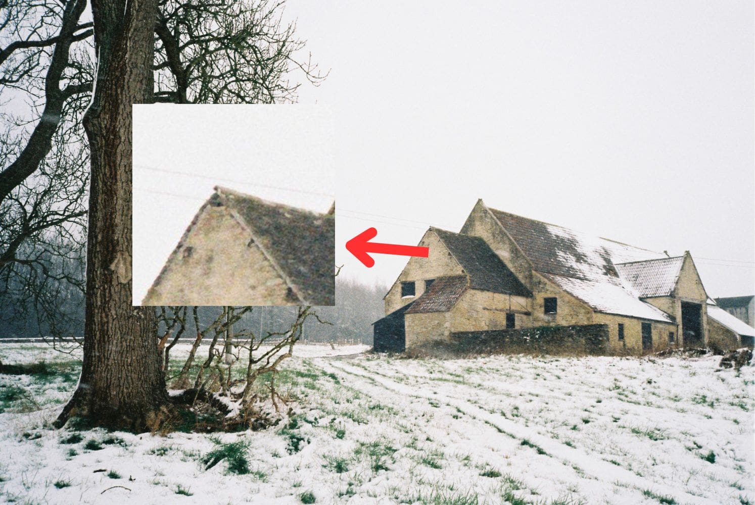 Fujifilm C200 Review: A Versatile and Affordable Film Explored